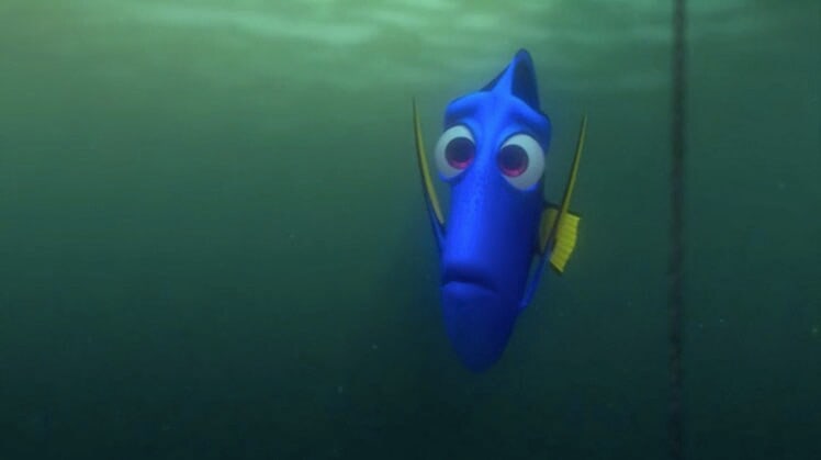 Finding Nemo - iampro